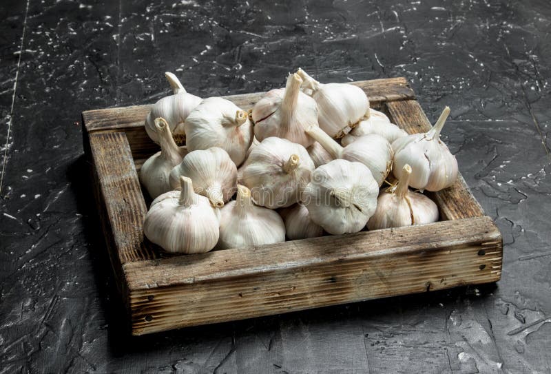 Garlic in wooden tray stock image. Image of aromatic - 141783025