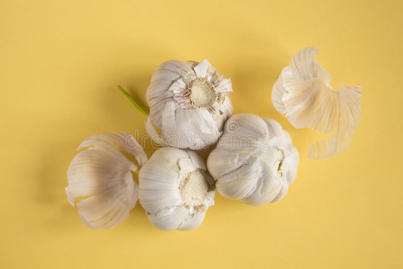 Garlic on yellow paper stock photo. Image of back, abstract - 106530836