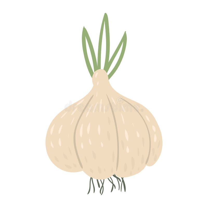 Garlicl Natural Healthy Organic Nutrition Product Vector Doodle