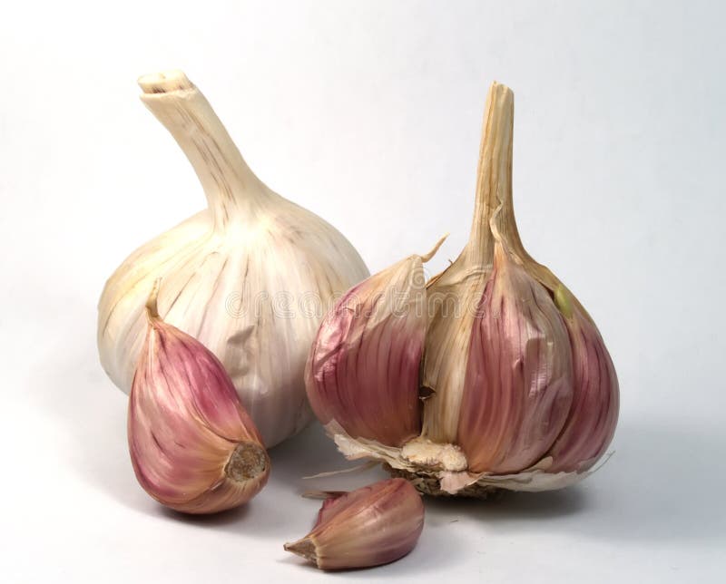 Garlics dos imagen de archivo. Imagen de nutritivo, travieso - 4518901