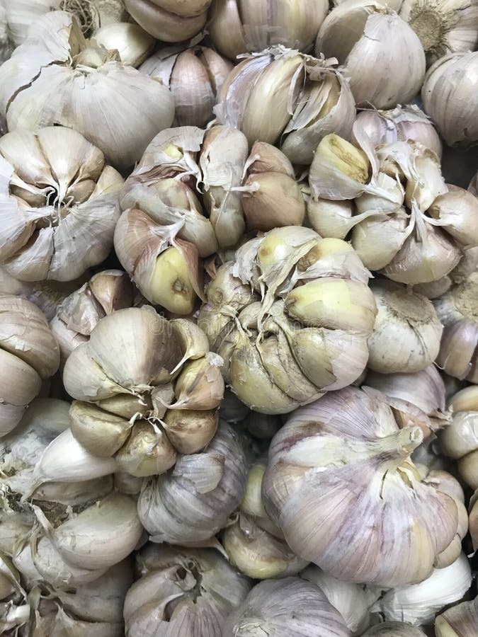Garlics stock image. Image of store, container, garlic - 155486111