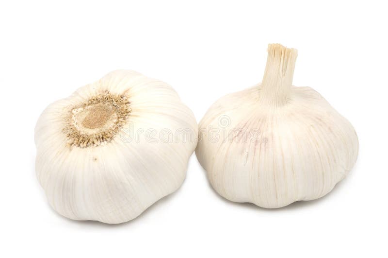 Garlics isolated on white stock photo. Image of drink - 51282892