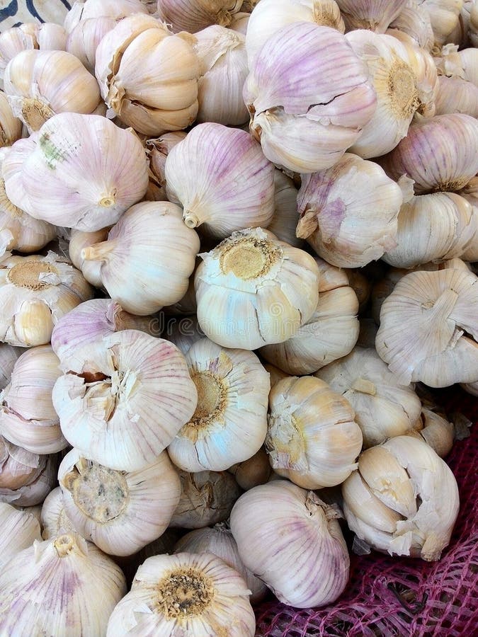 Garlics stock image. Image of market, local, food, herb - 51437357