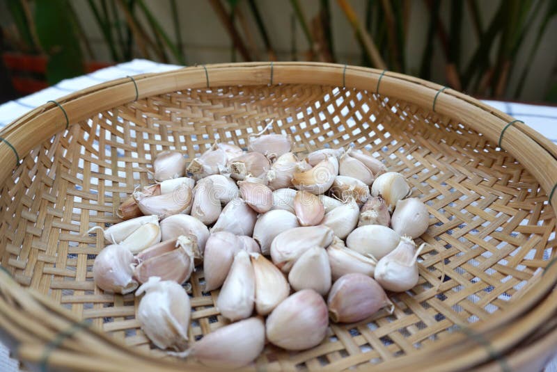 Garlics on woven basket stock photo. Image of bulb, vegetable - 56137136