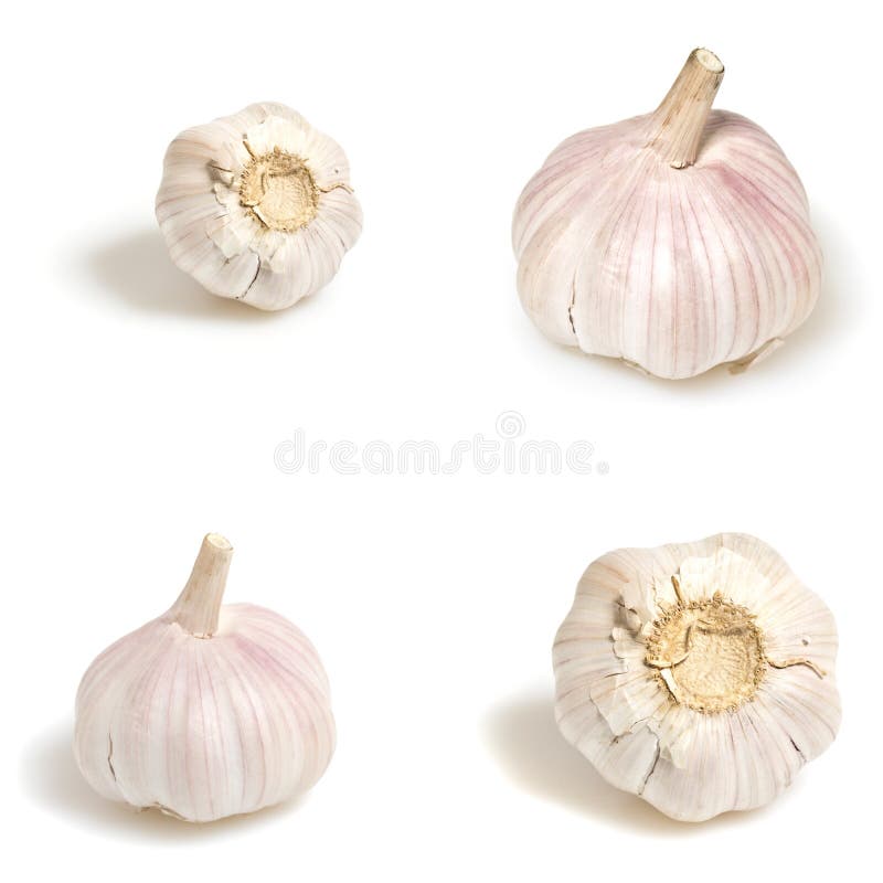 Garlik stock photo. Image of antiseptic, used, garlic - 158854262