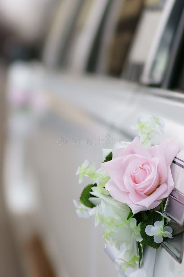 Garnering arkivfoto. Bild av beröm, dörr, ceremoni, limousin - 8276002