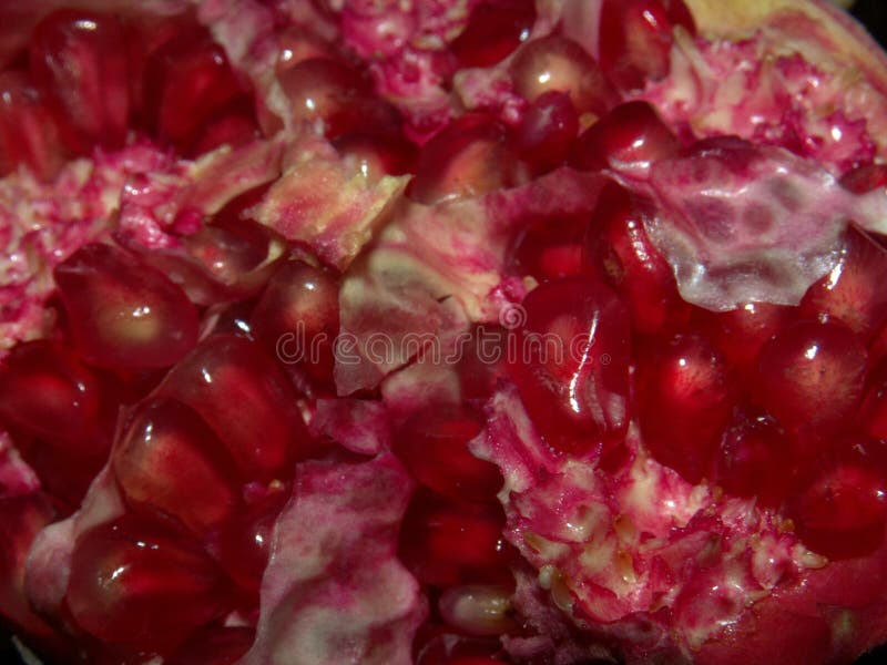 Garnet stock photo. Image of mature, grains, dessert, pink - 8176870