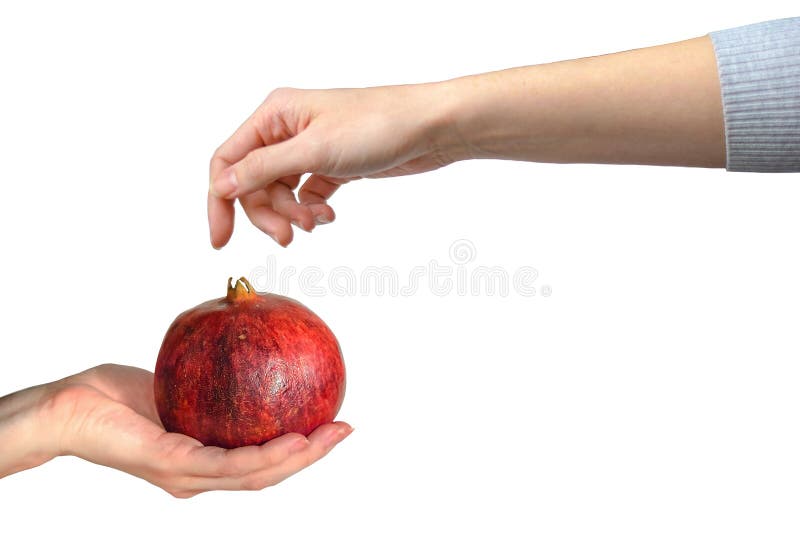 Garnet hand stock photo. Image of closeup, hold, beauty - 68799414