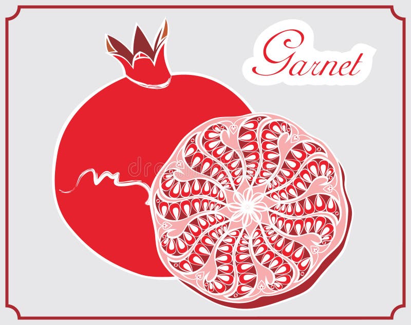 Stylized Garnet or Pomegranate. Vector Stock Vector - Illustration of ...