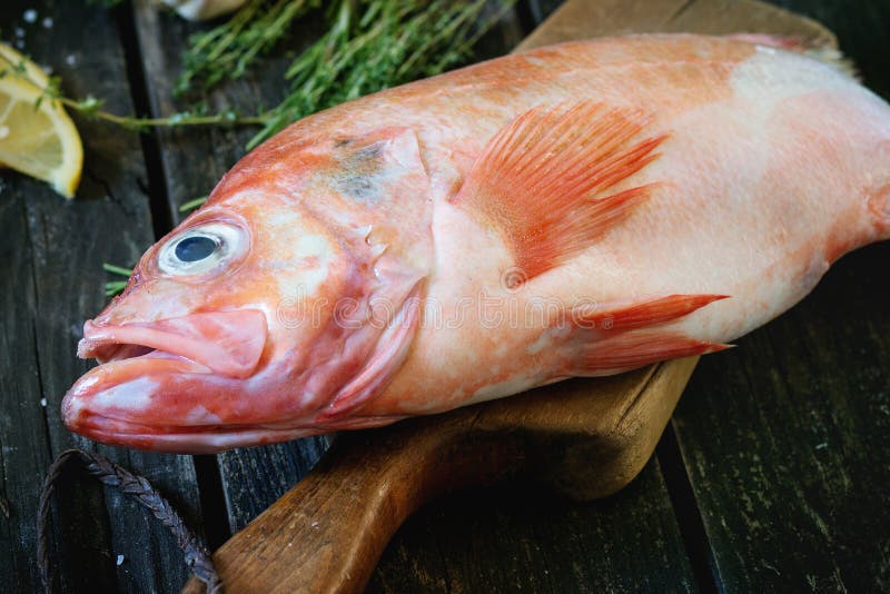 Garoupa Em Uma Placa De Estaca De Madeira Imagem de Stock - Imagem de ...