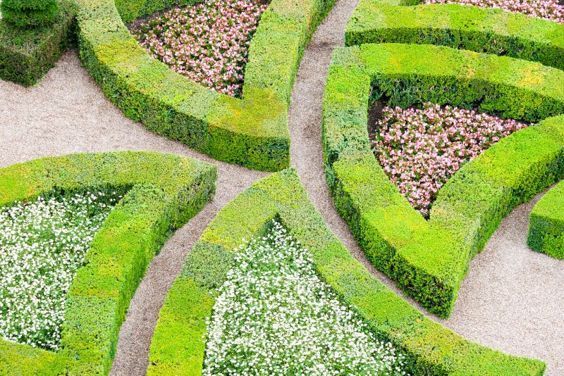 Garten Mit Vielen Verschiedenen Arten Buchsbaum Stockbild - Bild von ...