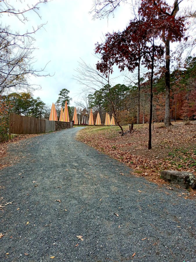 Garvan Woodland Garden editorial stock image. Image of woodland - 240652314