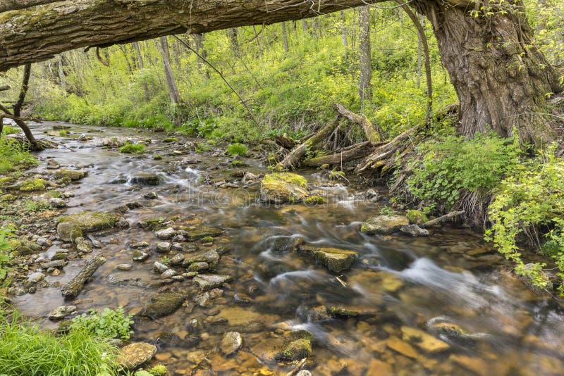 Garvin Brook Stock Photos - Free & Royalty-Free Stock Photos from ...