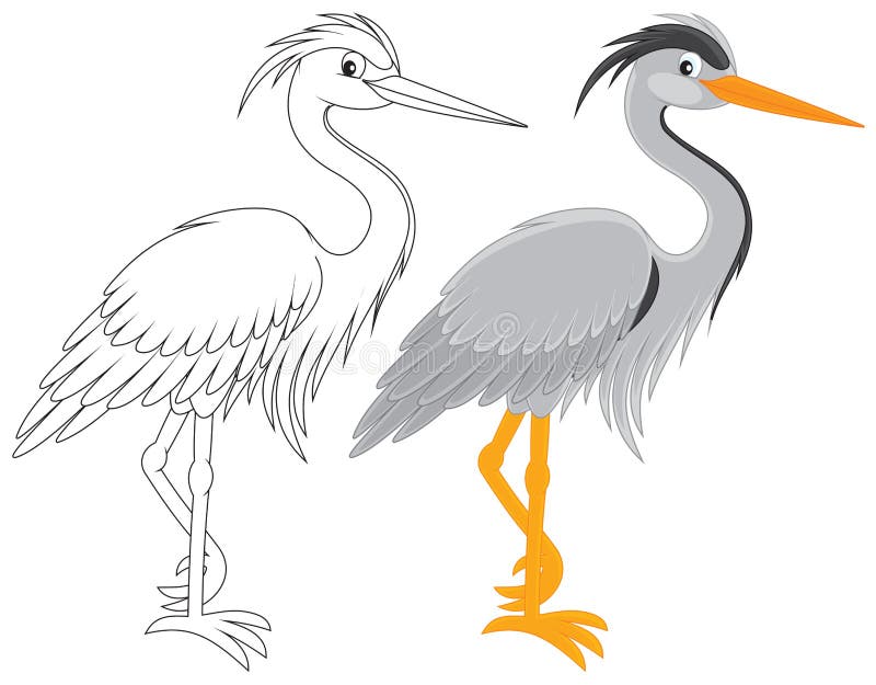 Garza ilustración del vector. Ilustración de gris, tebeos - 29165417