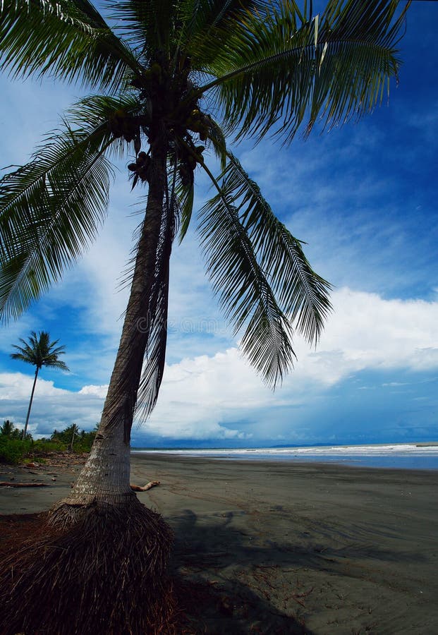Garza Island stock image. Image of costa, waves, garza - 13771333