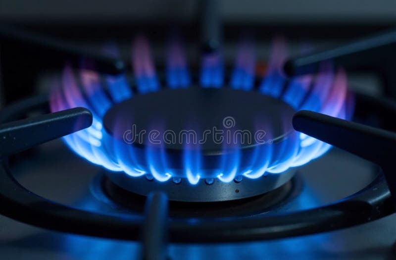 The Gas on the Burner Burns with a Blue Fire. Gas Stove Stock Photo ...