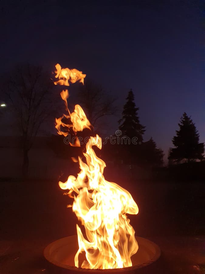 Fire in the night stock image. Image of sunlight, sparkler - 264496921