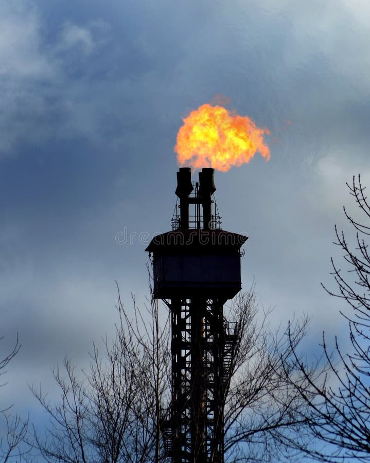 A Tower for Flaring Associated Gas at a Petrochemical Plant. Fiery ...