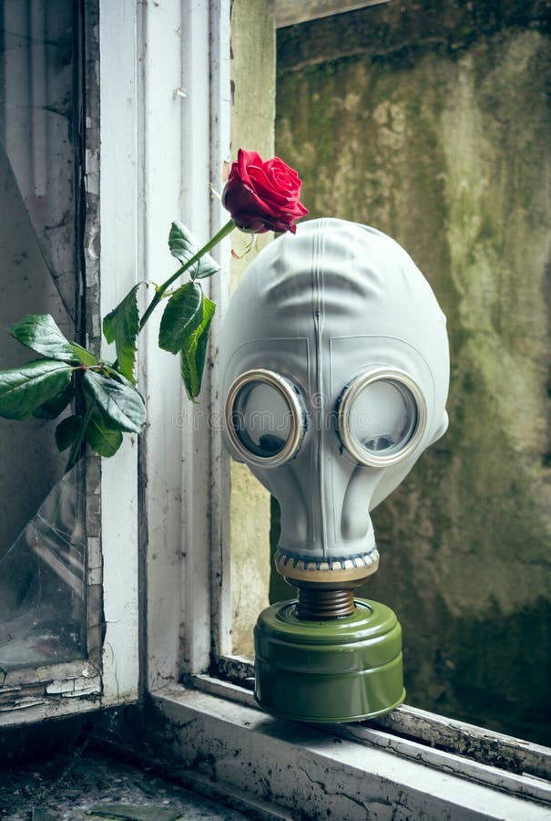 Gas Mask with Rose stock photo. Image of tribute, memories - 46015740