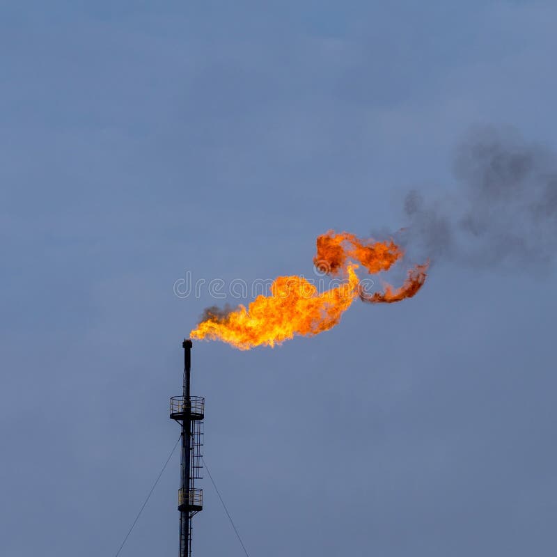 Gas and Oil Industry. Torch of Burning Associated Gas during the ...