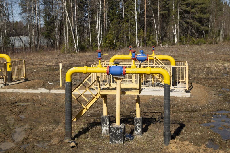 The Gas Pipeline.Distribution Pipes for Gas Transmission Stock Photo ...