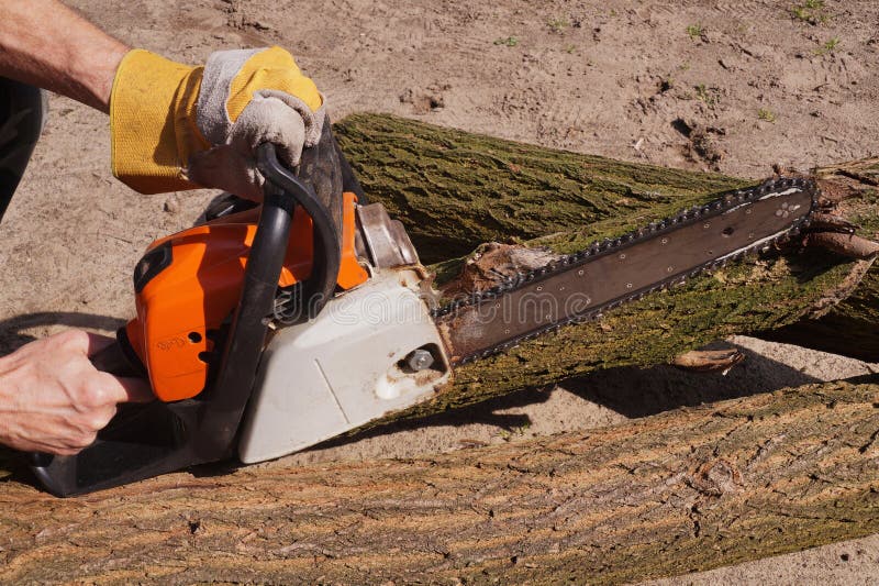 Man Holding Chainsaw stock photo. Image of adult, technology - 14085560