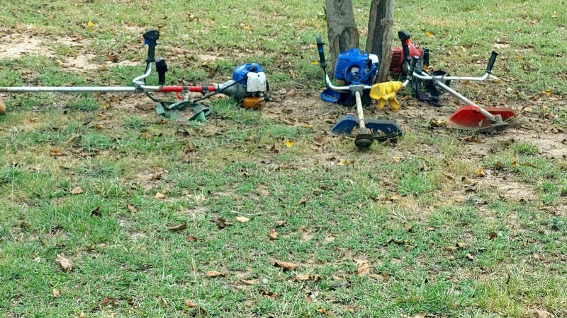 Gasoline Engine Grass String Trimmer or Brush Cutter with a Long Shaft ...