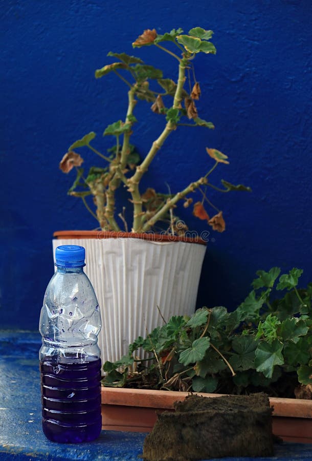 Old Blue Gasoline Tank with Hand Pump Stock Image - Image of tank ...