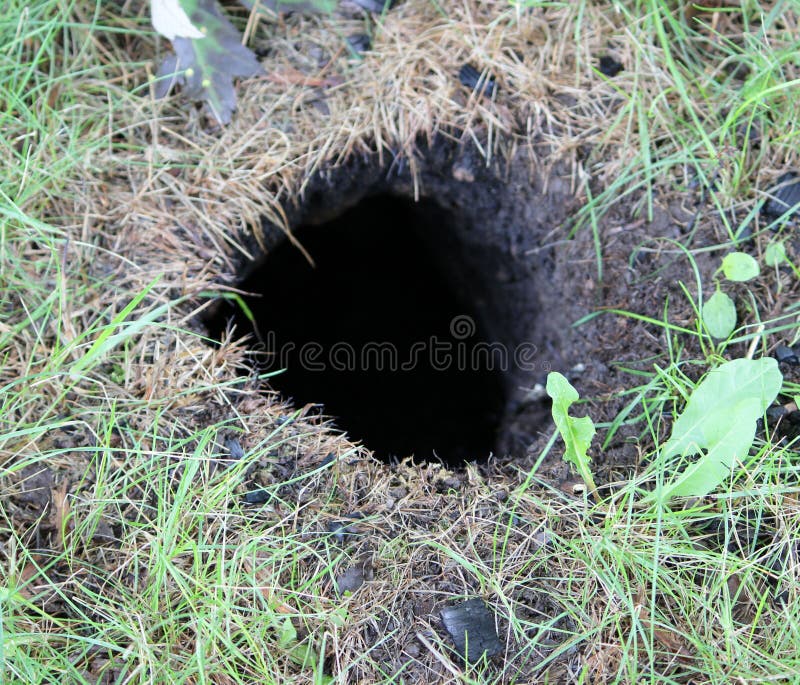 Gat in de Grond stock foto. Image of bladeren, zwart - 41952096