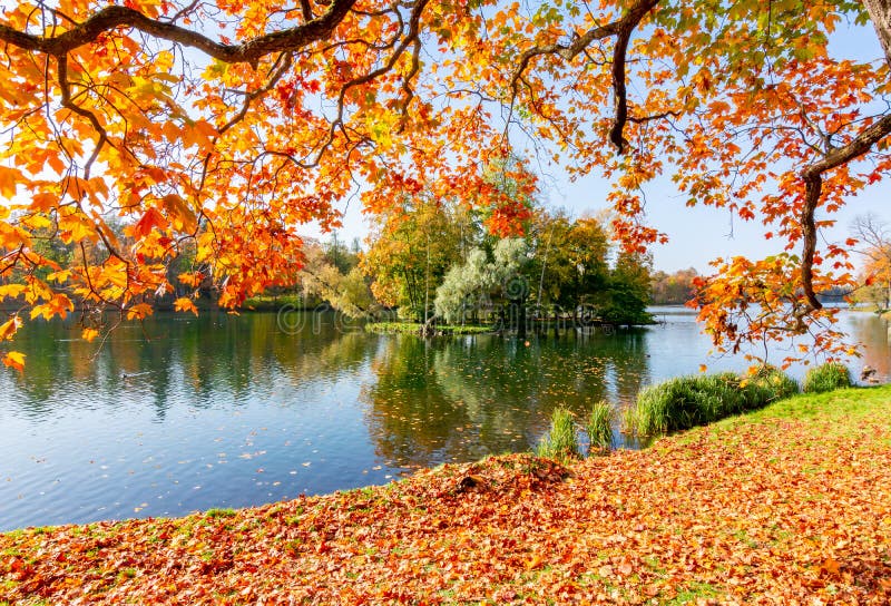 Autumn Foliage in Catherine Park, Pushkin (Tsarskoe Selo), Saint ...