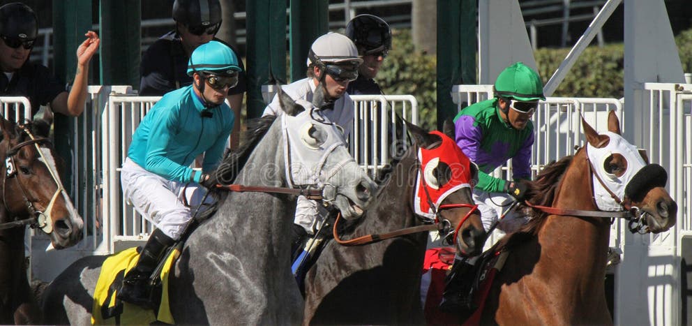 Gate Break for a Turf Race editorial photo. Image of baze - 29309996