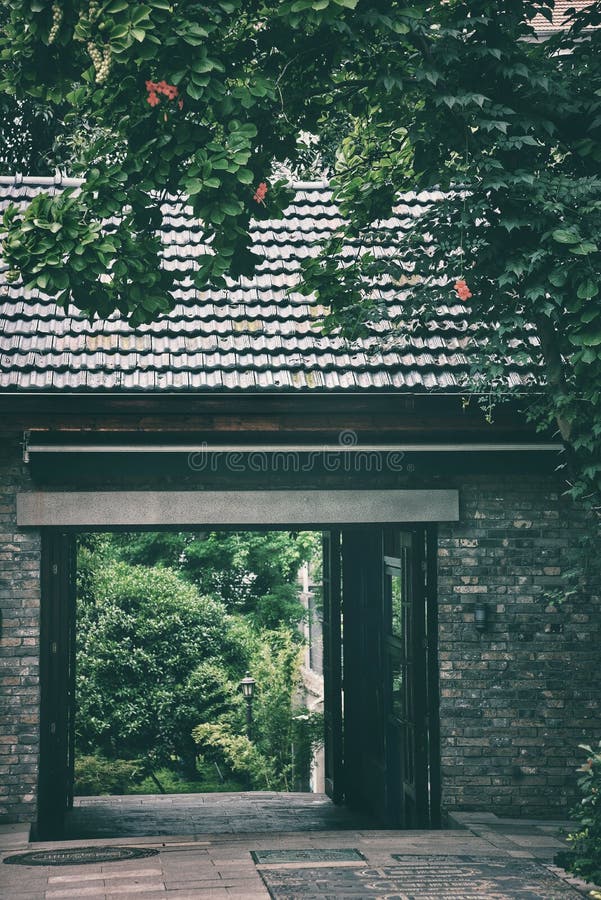Gate stock photo. Image of closeup, plants, door, trees - 254011208