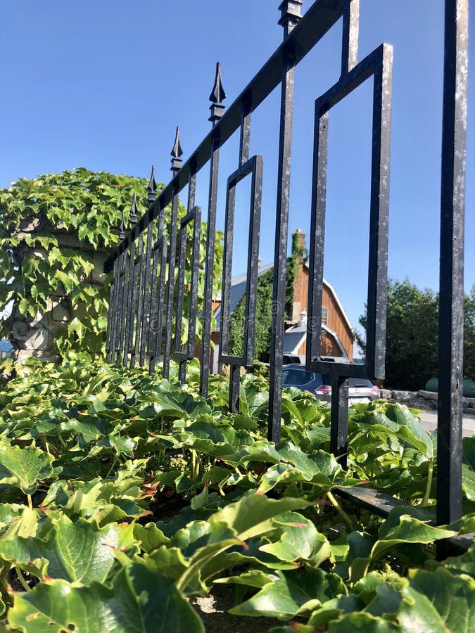 Greenery gate stock photo. Image of kingston, lake, gate - 134917112