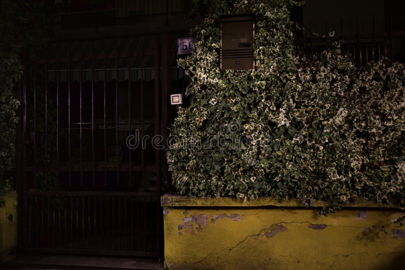 Gate Covered by Ivy with a Mail Box on it at Night Stock Image - Image ...