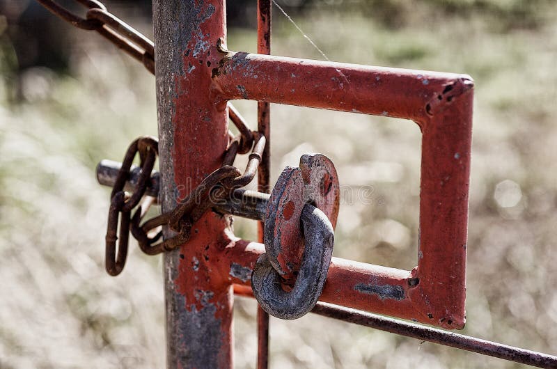 Farm gate with chain latch stock photo. Image of pasture - 56274346