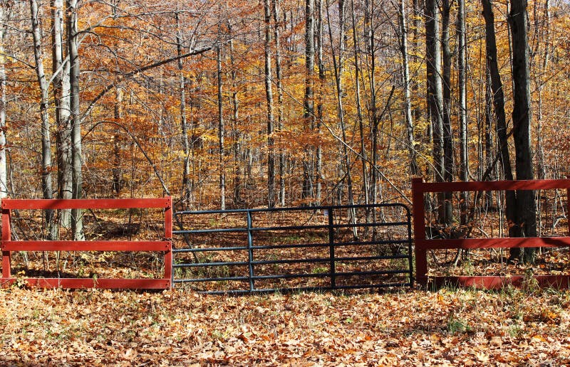 Gate Entering Woods Fall Stock Photos - Free & Royalty-Free Stock ...
