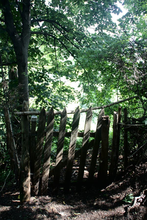 Gate stock photo. Image of leaf, gate, wicket, board - 53669076
