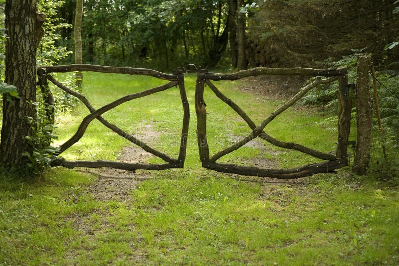 Gate in the Forest stock photo. Image of branch, forest - 5674276