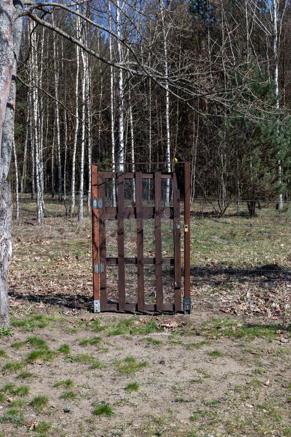 Gate from the Garden To the Forest Stock Image - Image of ngate ...