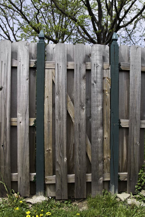 Gate and Green Posts stock photo. Image of latch, trees - 28401494