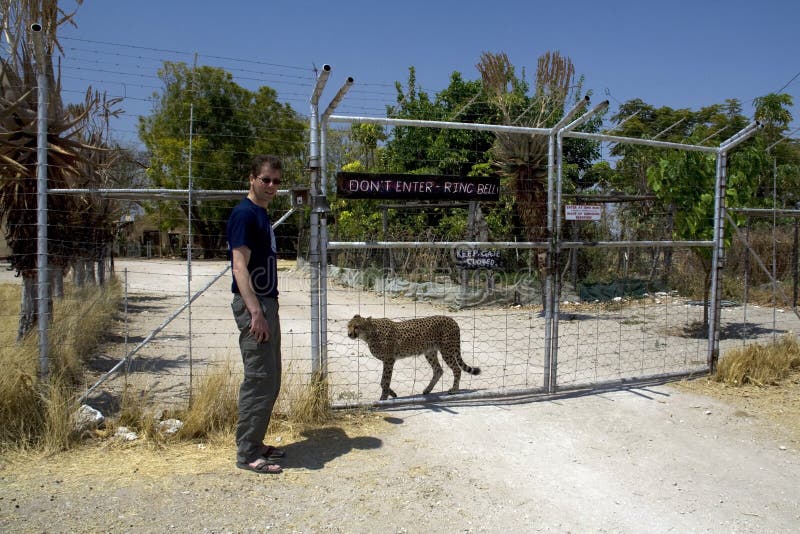 The gate guard stock photo. Image of african, conservation - 11133890