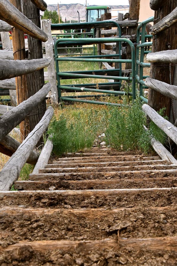 Gate and Loading Ramp Leading Out of a Corral Stock Image - Image of ...