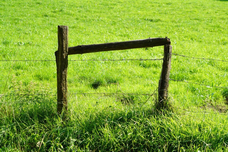 Gate of a meadow stock photo. Image of outdoor, wooden - 58294026