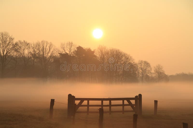 Gate in the Mist in the Sunrise Stock Photo - Image of landscape, haze ...