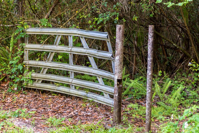 Gate in nature area stock image. Image of everglades - 39948679