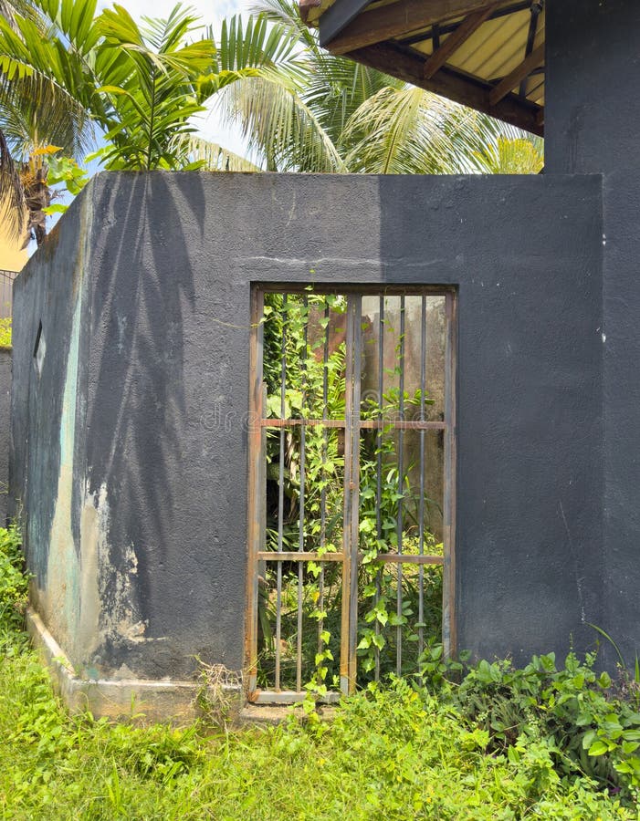 A Gate is Open To a Wall with a Green Plant Growing Out of it Stock ...