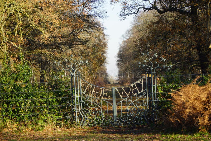 Gate of a park in autumn stock photo. Image of plant - 263387752