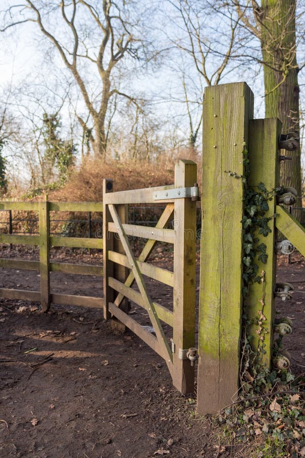 Gate in a park stock image. Image of tree, bare, setting - 87823113