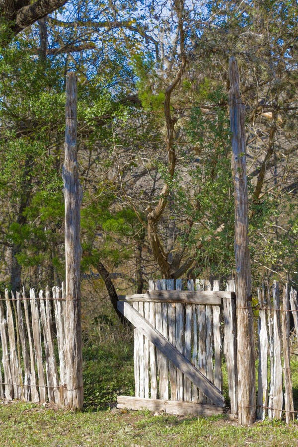 A Gate Partially Open Leading into the Woods Stock Photo - Image of ...