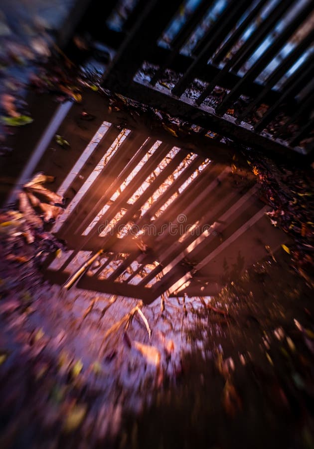 Gate Reflection in a Puddle Stock Image - Image of purple, autumn: 46608339